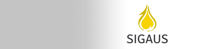 SIGAUS - Racing Tolua